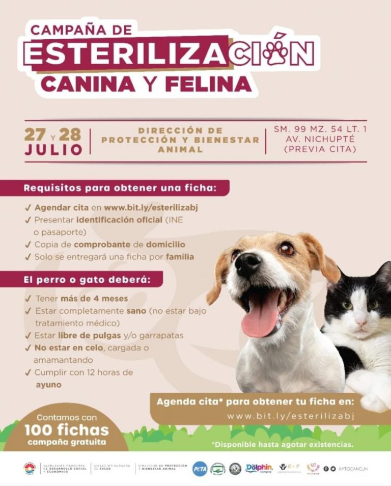 Realizarán En Benito Juárez Campaña De Esterilización Canina Y Felina